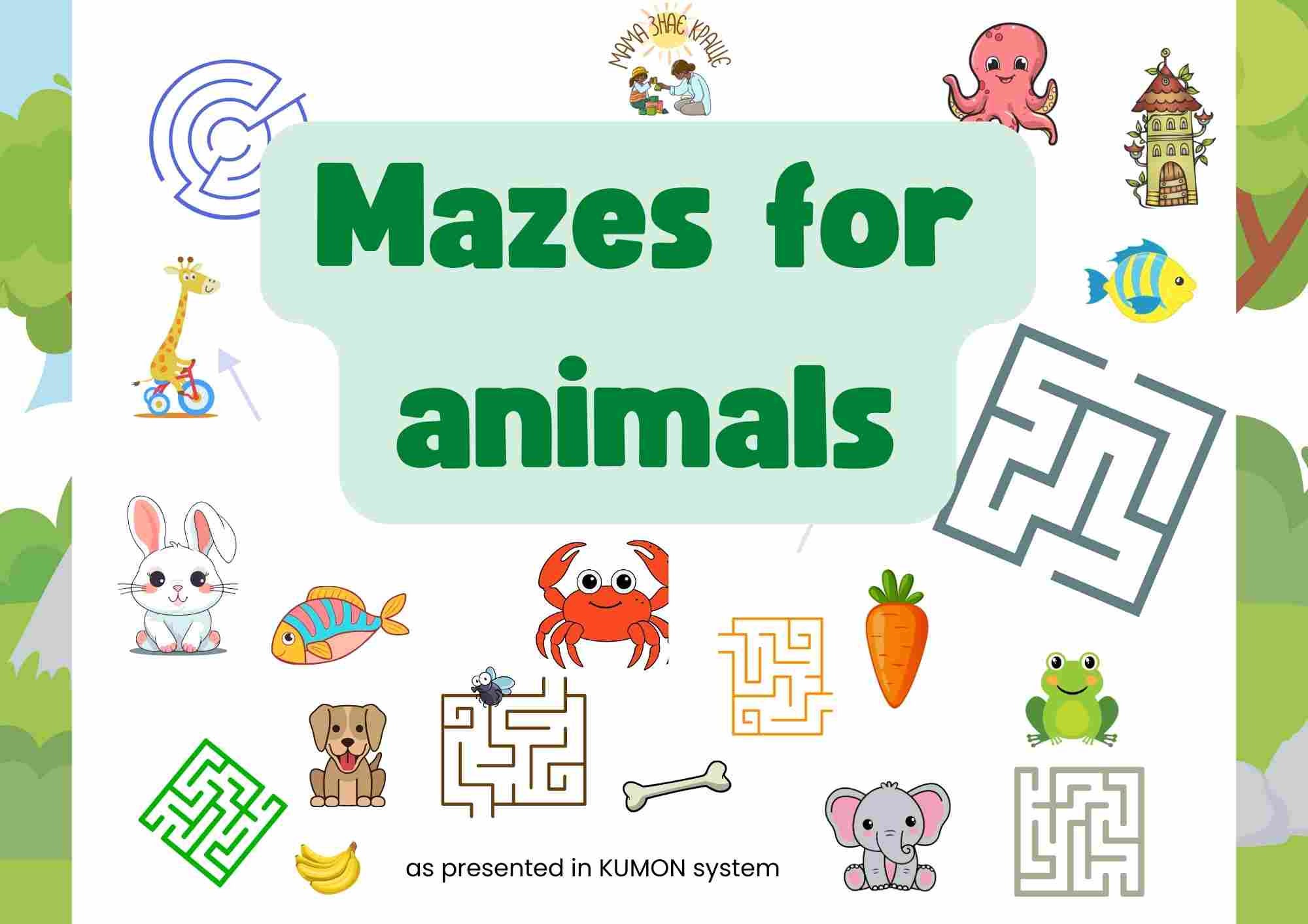 Mazes for Animals - Etsy