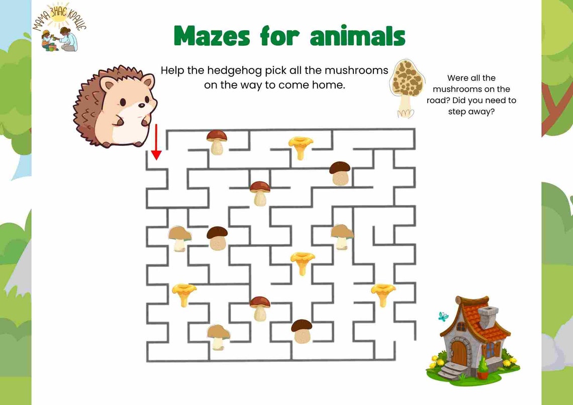 Mazes for Animals - Etsy