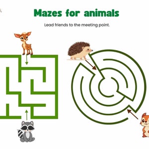 Mazes for Animals - Etsy
