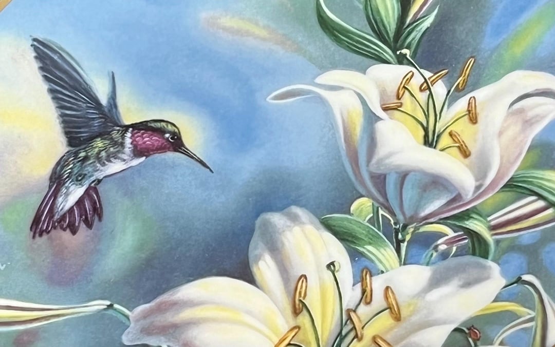 New in Box the Ruby-throated Hummingbird and Lilies Collector Plate ...