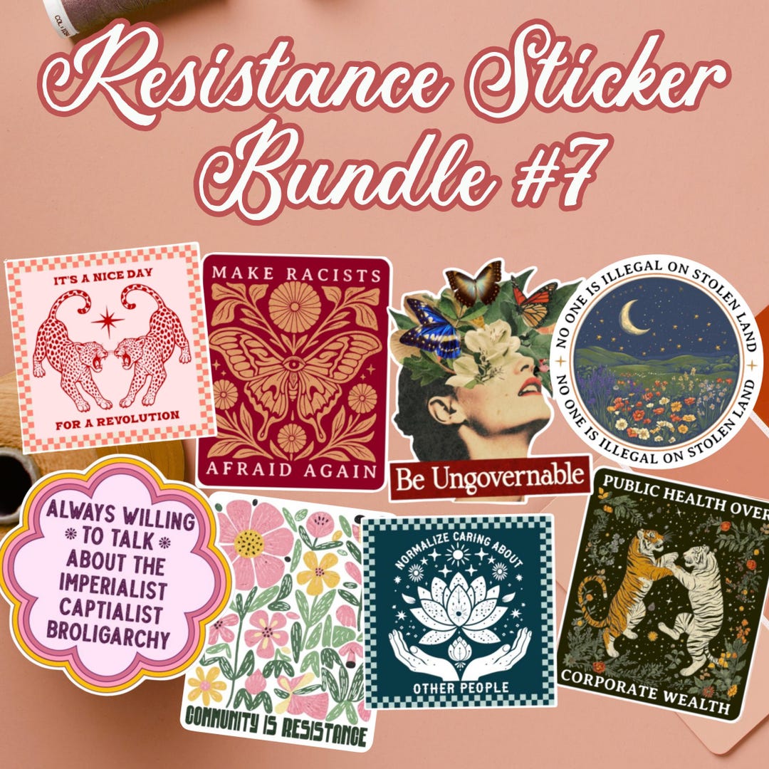 Political Sticker Set 8 Pack #7 Anti Fascism Social Justice Retro Be ...
