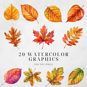 Fall Foliage Clipart, Watercolor Autumn Leaves, Leafy Borders, Pngs for ...