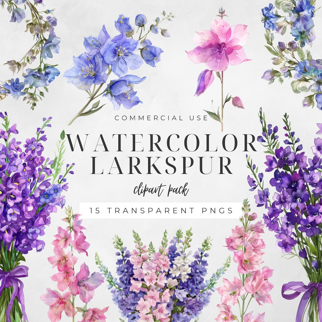 Watercolor Larkspur Clipart, Botanical Art, Summer Flowers, Invitation ...