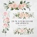 Blush Pink Roses PNG, Watercolor Pink Flower Clipart, Digital File ...