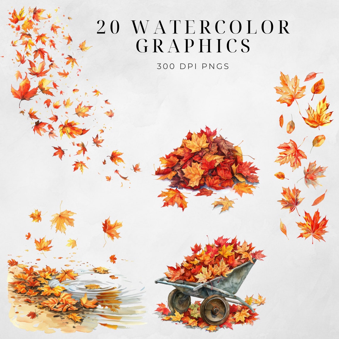 Fall Foliage Clipart, Watercolor Autumn Leaves, Leafy Borders, Pngs for ...