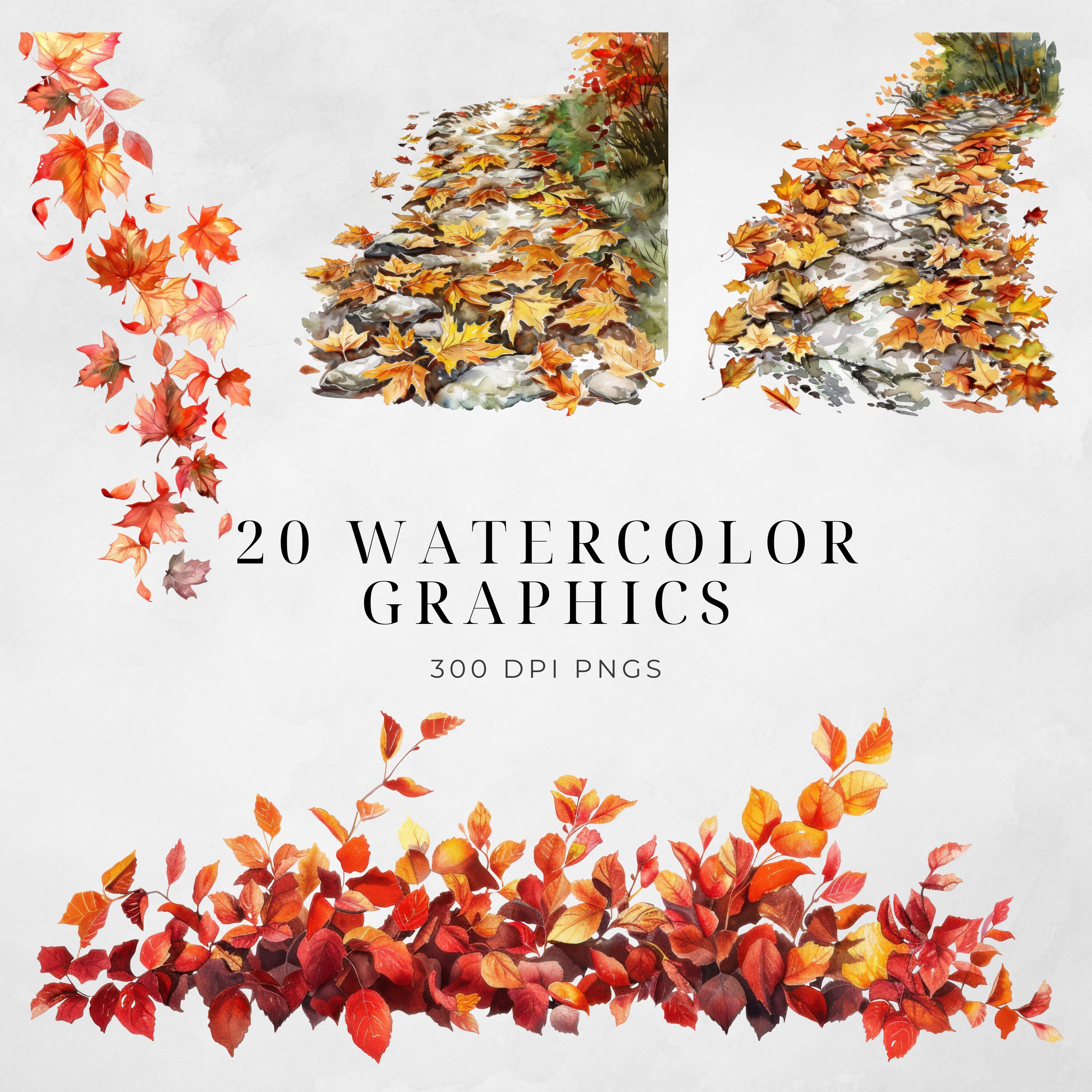 Fall Foliage Clipart, Watercolor Autumn Leaves, Leafy Borders, Pngs for ...