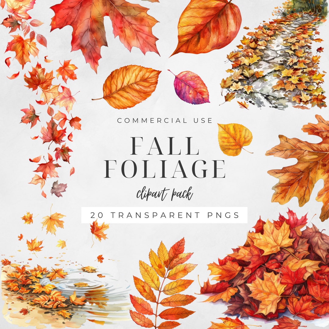 Watercolor Fall Foliage Clipart, Autumn Leaves, Leafy Borders, Pngs for ...