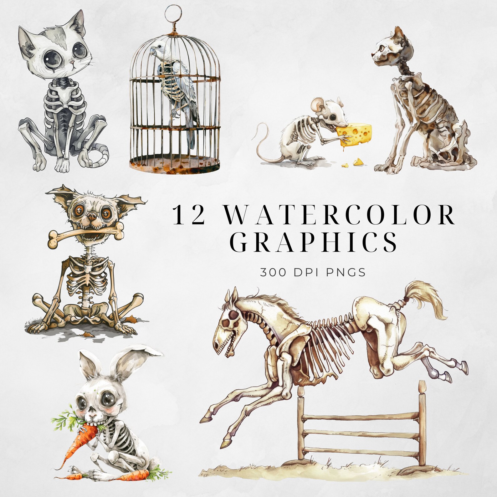 Halloween Pet Skeleton Clipart, Watercolor Bones, Halloween Decor ...
