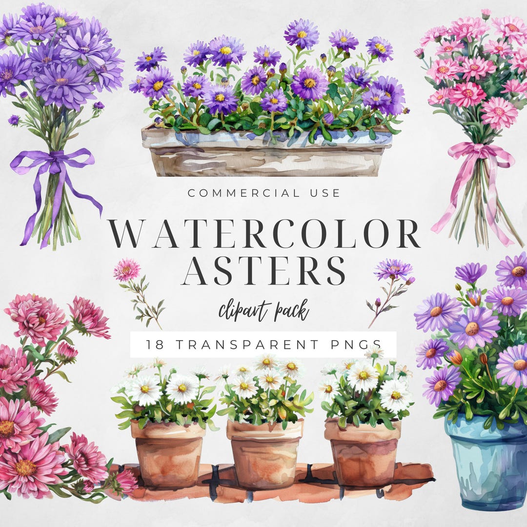 Watercolor Aster Clipart, Fall Flower, Botanical PNG, Wedding Clip Art ...