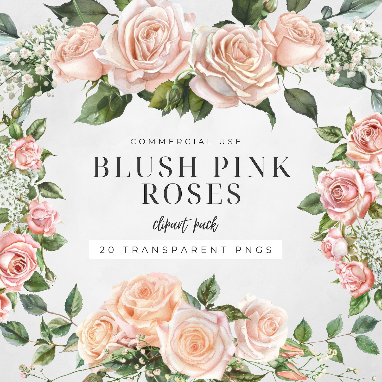 Blush Pink Roses PNG, Watercolor Pink Flower Clipart, Digital File ...