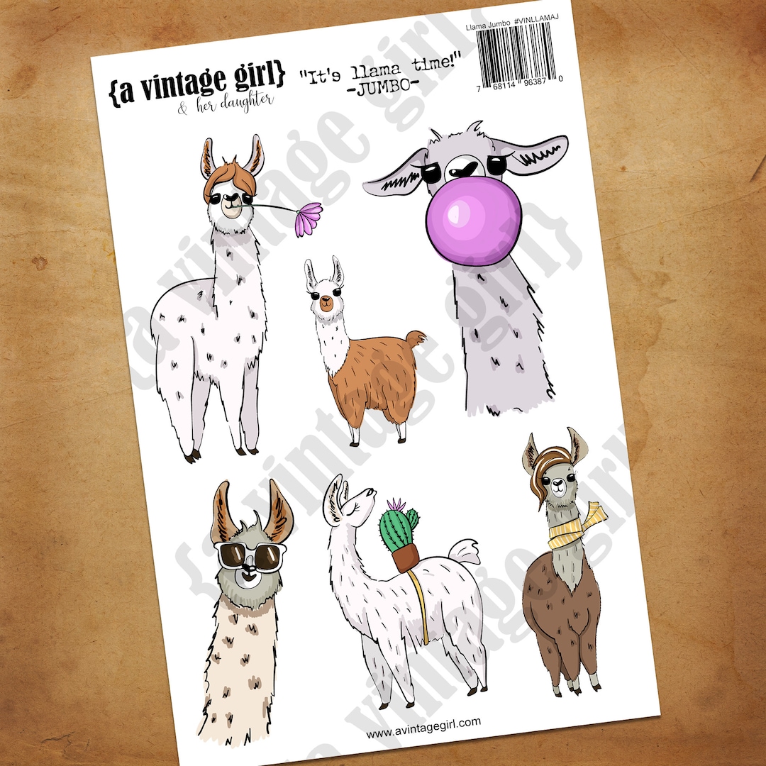 Llama Drama Jumbo // - Etsy