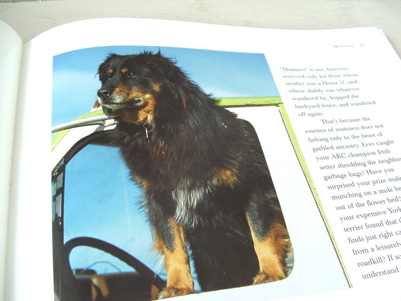 1996 Hardcover Book Just Mutts by Steve Smith and Gene Hill - Etsy