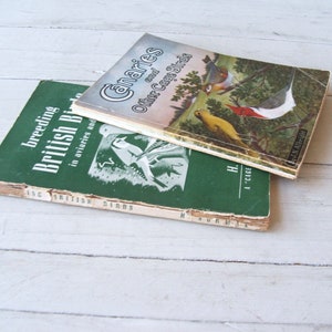 Pair of Antique Books Breeding British Birds Canaries and Other Cage ...