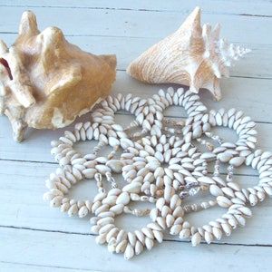 3 Piece Seashell Collection Two Conch Shells and One Cowrie Shell Doily ...