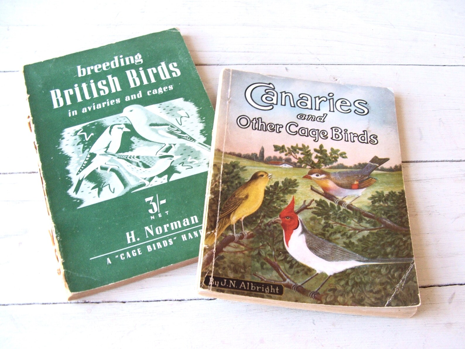 Pair of Antique Books Breeding British Birds Canaries and | Etsy