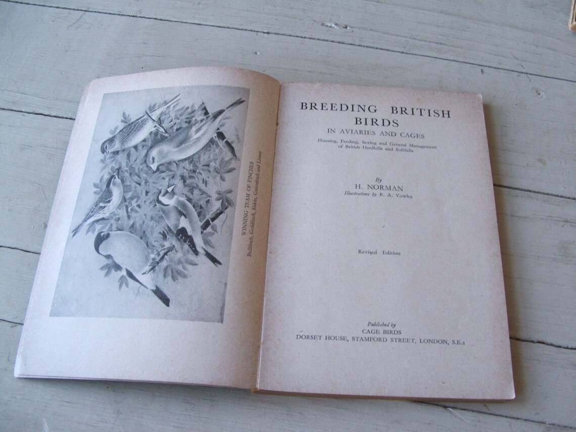 Pair of Antique Books Breeding British Birds Canaries and | Etsy