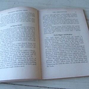 Pair of Antique Books Breeding British Birds Canaries and Other Cage ...