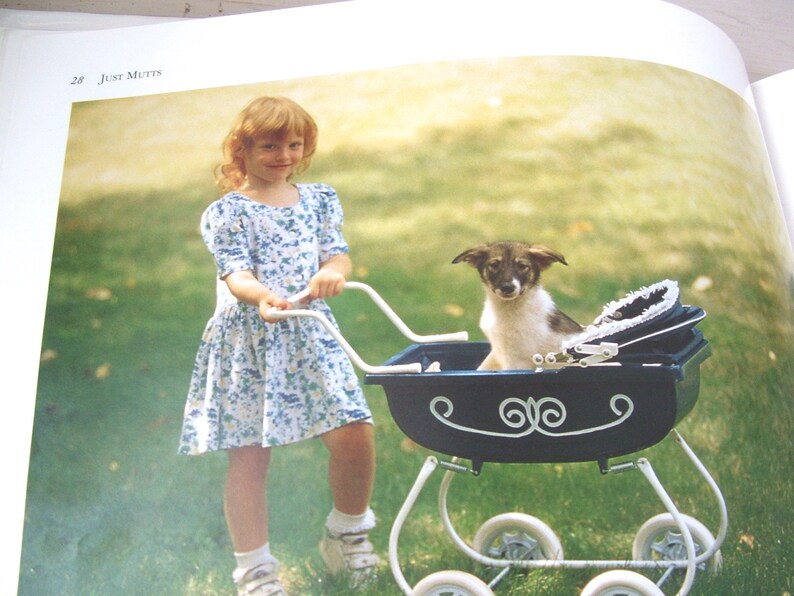 1996 Hardcover Book Just Mutts by Steve Smith and Gene Hill - Etsy