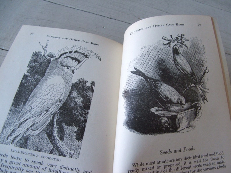 Pair of Antique Books Breeding British Birds Canaries and - Etsy