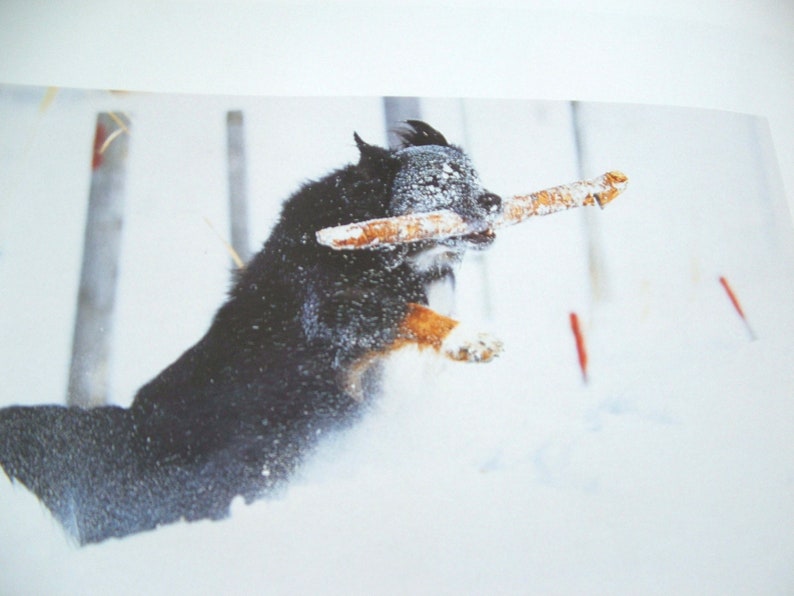 1996 Hardcover Book Just Mutts by Steve Smith and Gene Hill - Etsy