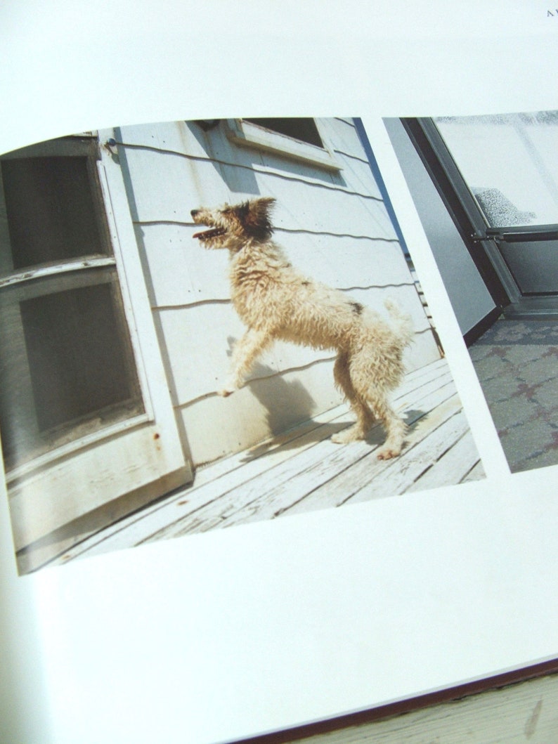 1996 Hardcover Book Just Mutts by Steve Smith and Gene Hill - Etsy