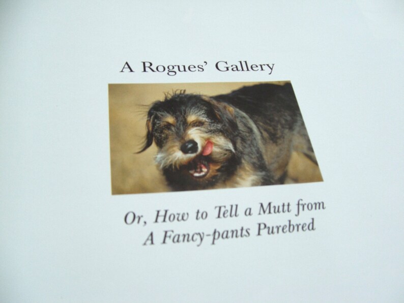 1996 Hardcover Book Just Mutts by Steve Smith and Gene Hill - Etsy