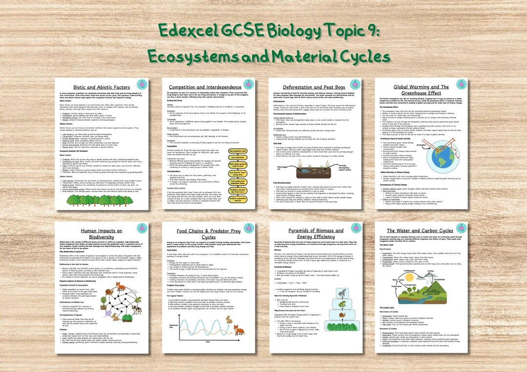 GCSE Biology Revision Notes Edexcel: Topic 9 Ecosystems and Material ...