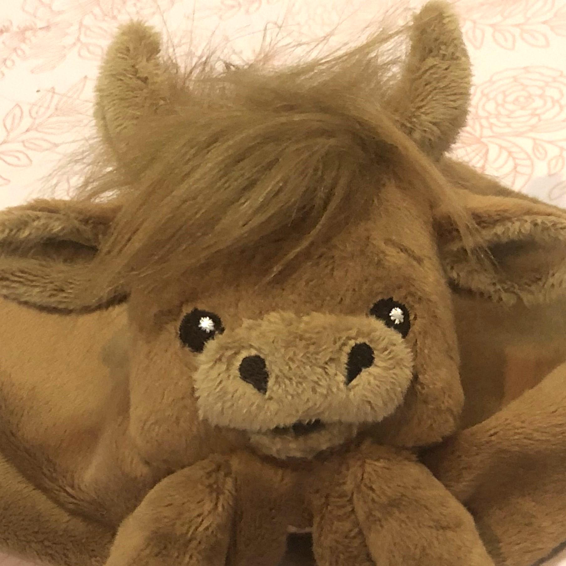 Highland Cow Lovey Blanket Sensory Toy Embroidery Design Digital ...