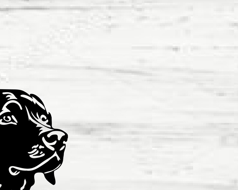 Labrador Hunting Svg / Labrador Hunting Png / Dog Clipart / Duck Hunter ...