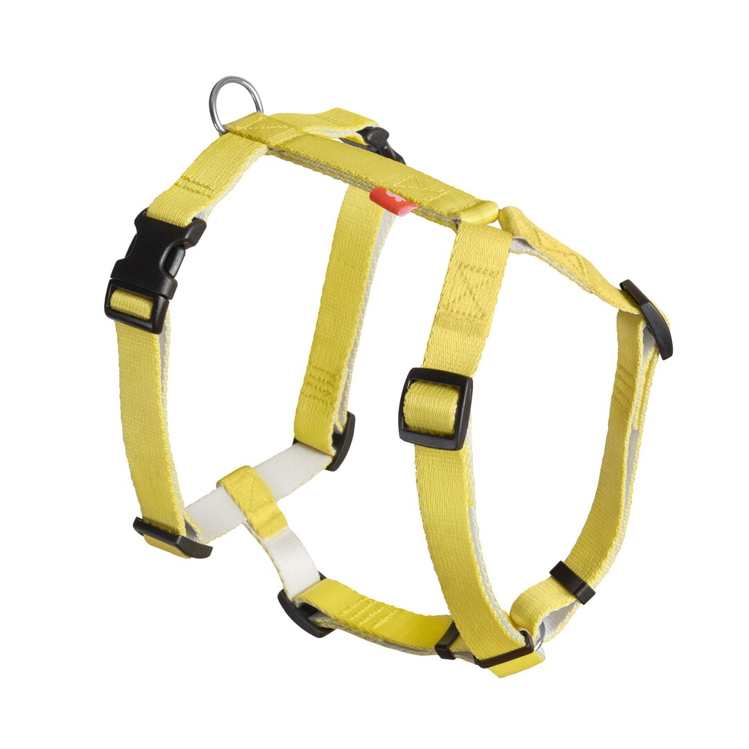 Dog Harness Yellow, Different Colors, Custom, Polyester, Cute, Double ...