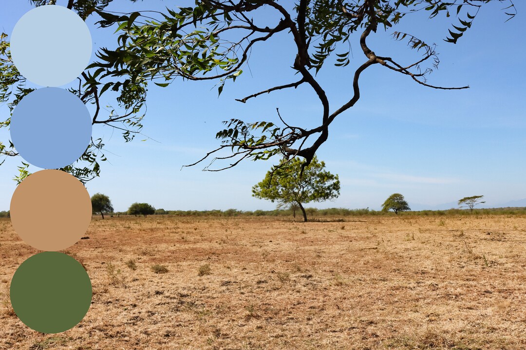 Color Inspiration / Color Palette: Vintage Vibes autumn colorinspo ...