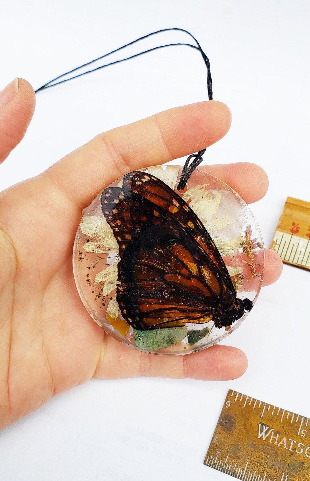 Real Monarch Butterfly Daisy and Crystal Statement Necklace - Etsy