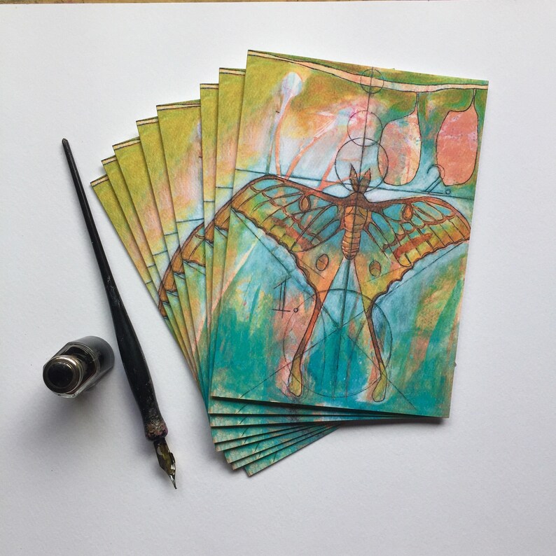 Moth Packaged Card Set, Notecard Set, Textured Watercolor Paper ...
