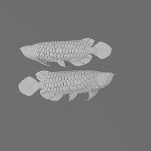 Articulating Fish Fidget Toy: 3D Printing STL File - Etsy