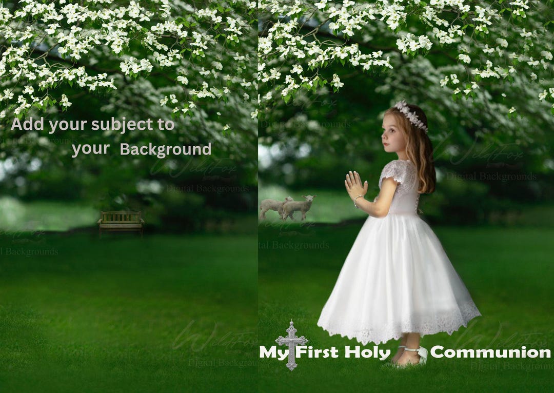 My First Holy Communion Digital Photography Background. One Jpeg Image ...