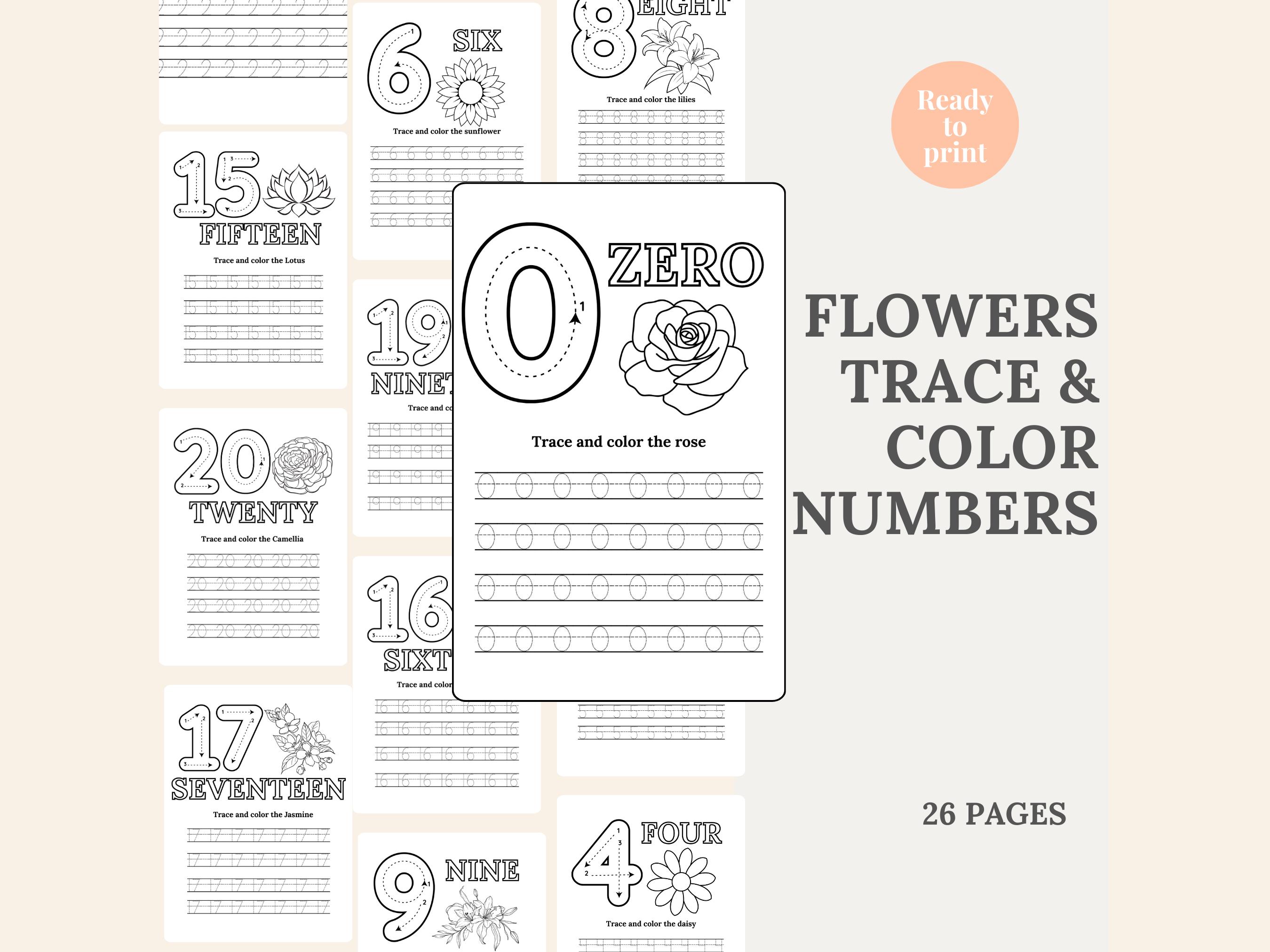 Flower Themed Number Tracing Worksheets and Coloring Pages for Kids ...