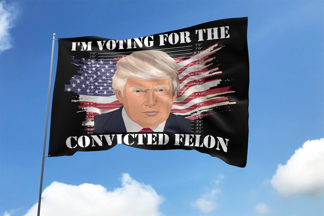 I'm Voting for the Convicted Felon Flag, Funny Political Flag, American ...