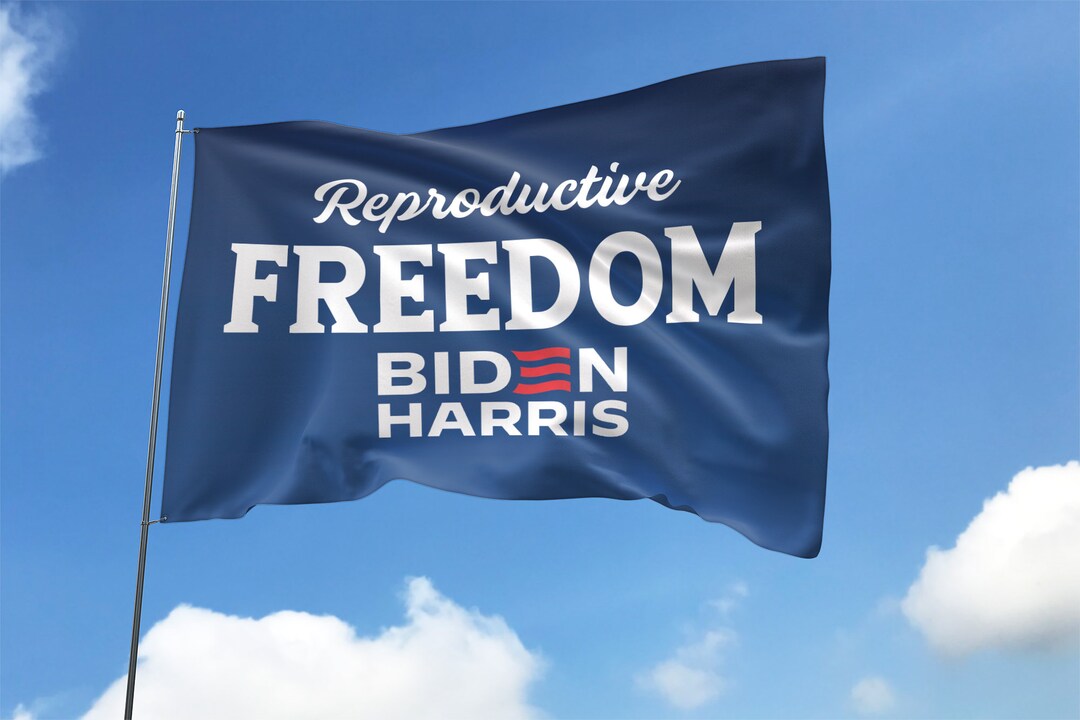 Biden Harris Flag, Biden Harris 2024 Flag, America Election Flag, Joe ...
