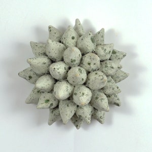 Ceramic Botanical Seed Pod Succulent Wall Sculpture, Wall Tile Barnacle ...