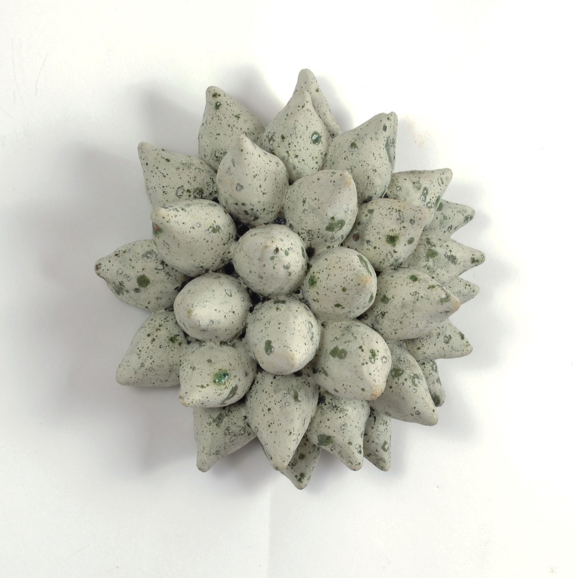 Ceramic Botanical Seed Pod Succulent Wall Sculpture Wall Tile - Etsy