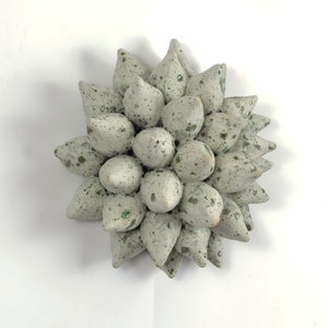 Ceramic Botanical Seed Pod Succulent Wall Sculpture, Wall Tile Barnacle ...