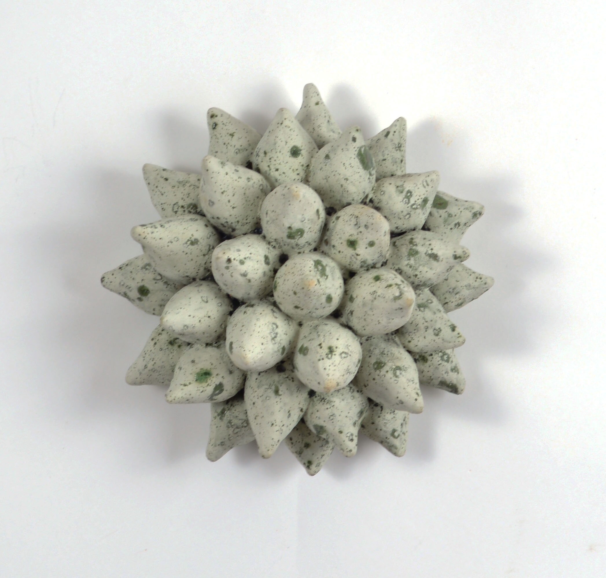 Ceramic Botanical Seed Pod Succulent Wall Sculpture Wall Tile - Etsy