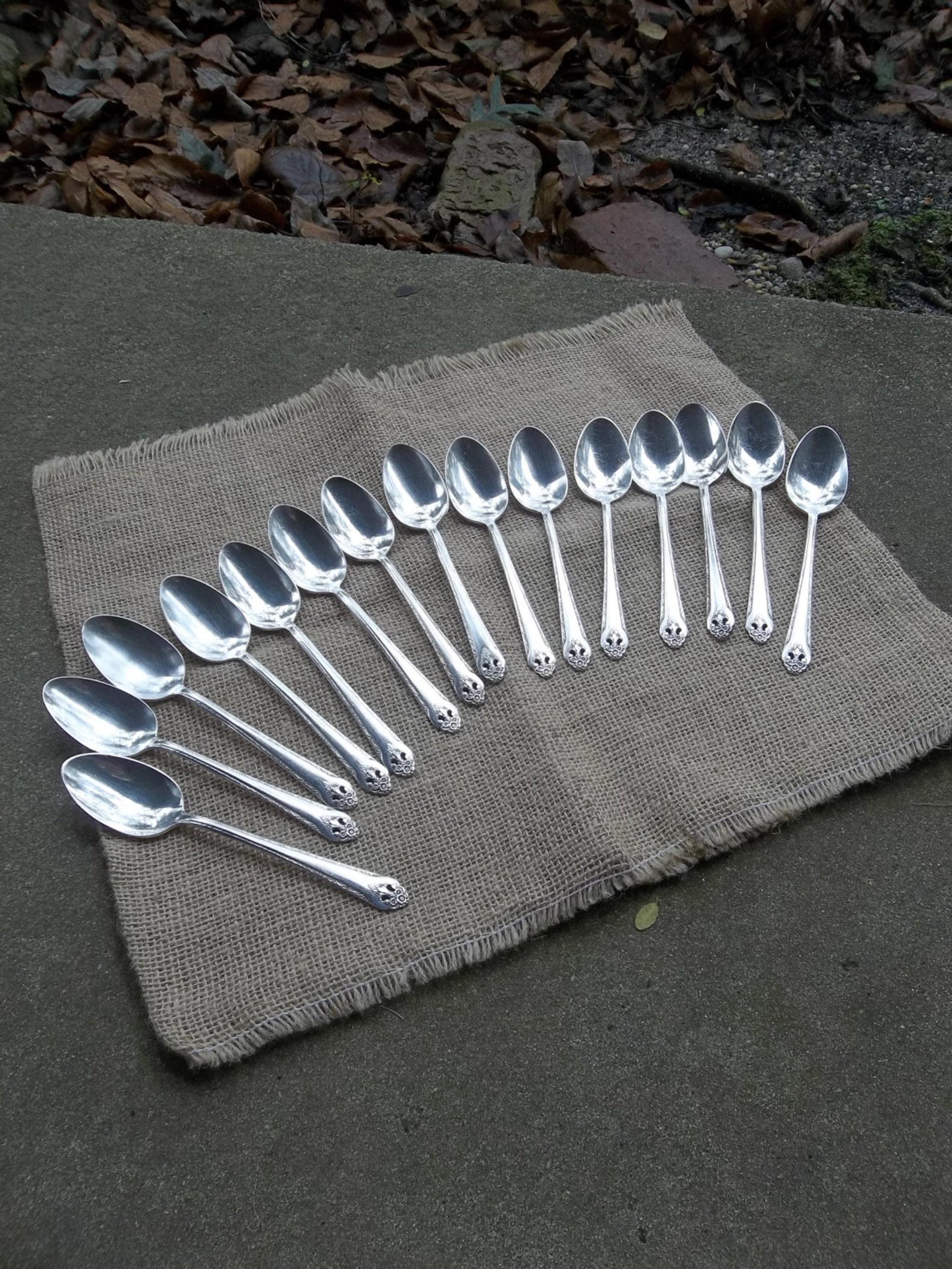 15 LOVELY LADY Silver Plate Spoons Vintage Silverplate - Etsy