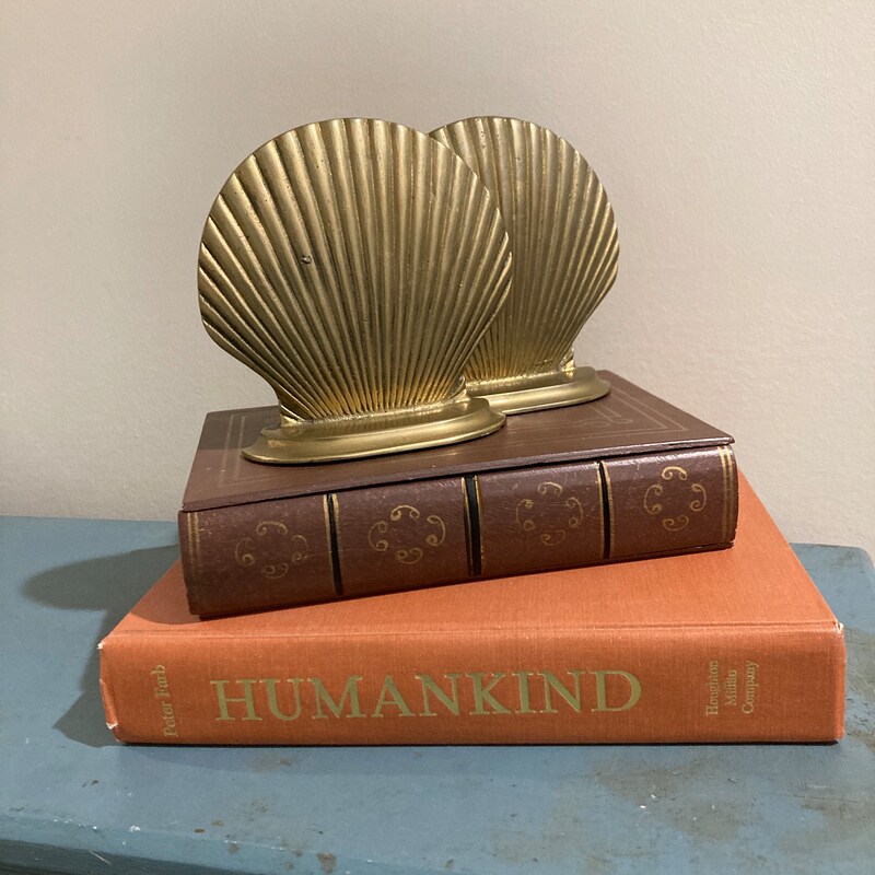 Shell Bookends - Etsy