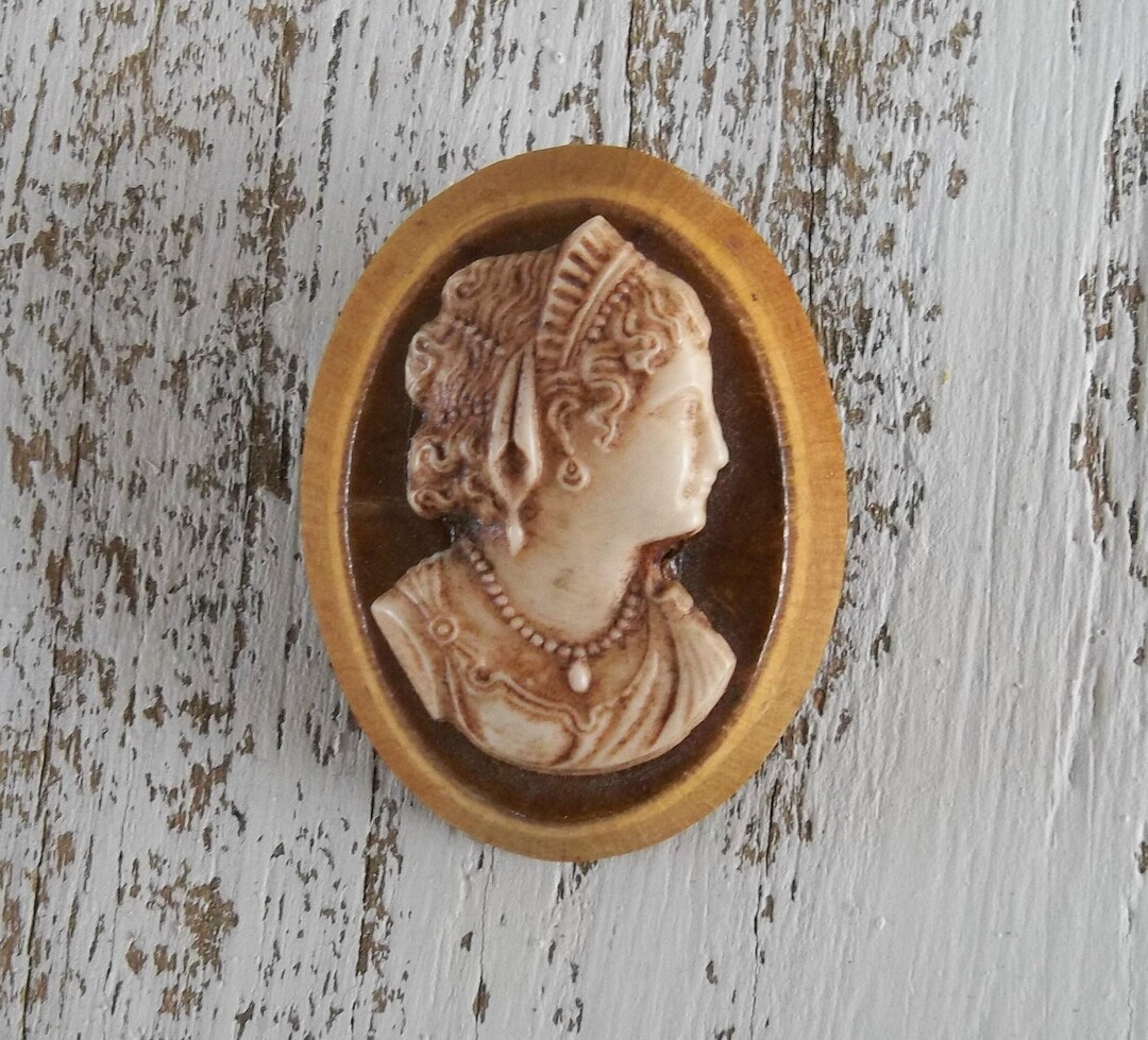 Vintage Celluloid Cameo Wooden Cameo Brooch Brown Cameo Pin Vintage ...