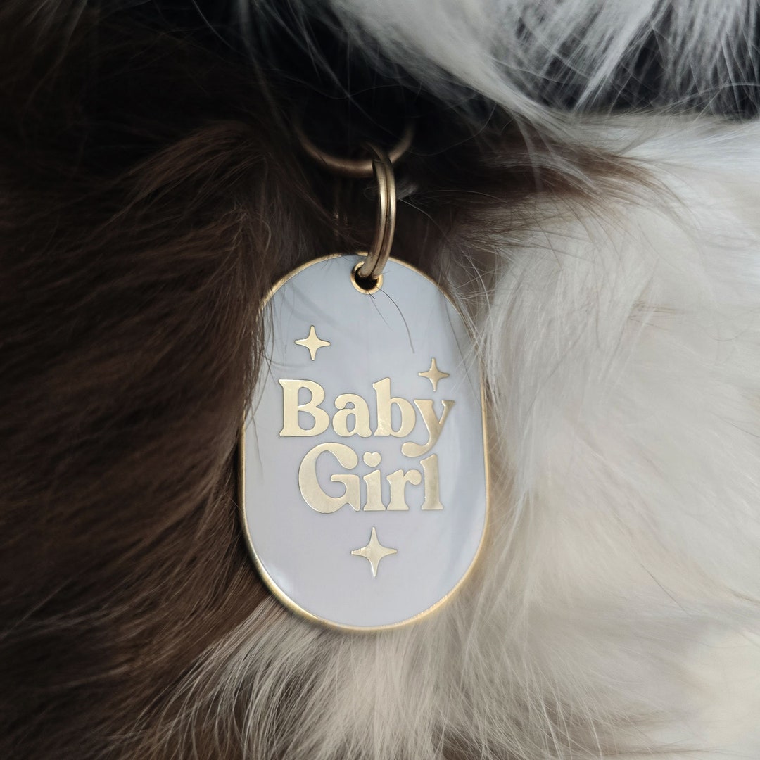Dog Name Tag, Dog ID Tag, Funny Dog ID Tag, Personalised Dog ID Tag ...
