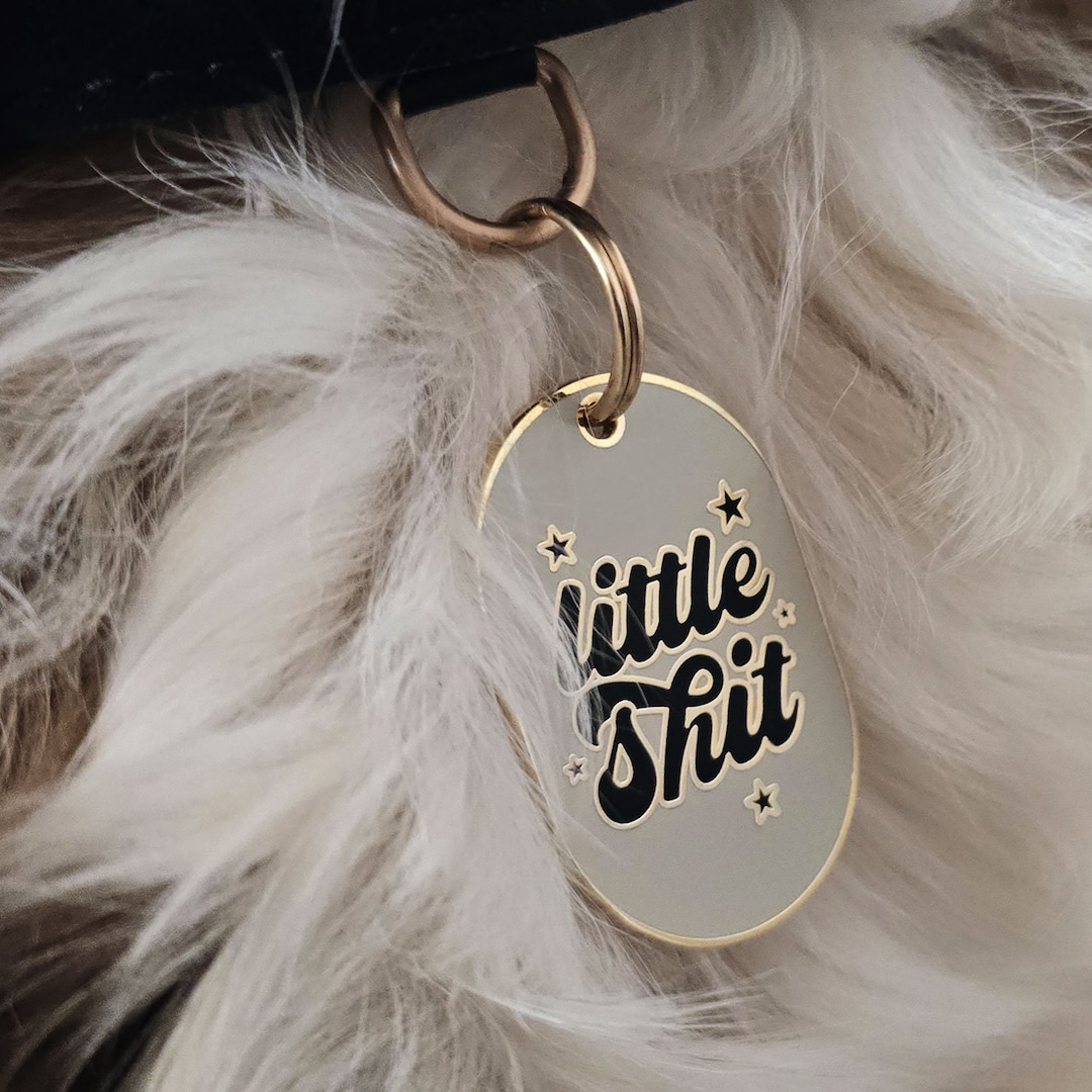 Dog Name Tag, Dog ID Tag, Funny Dog ID Tag, Personalised Dog ID Tag ...