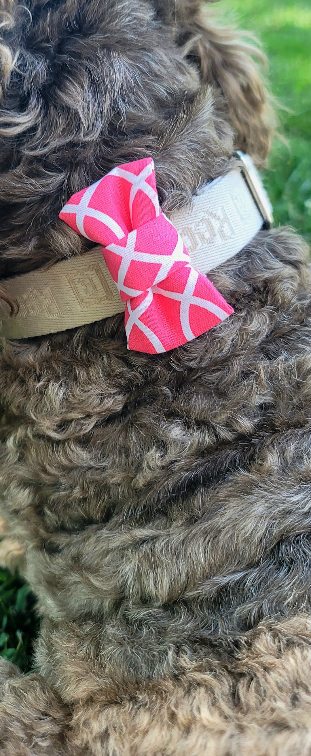 Pink and White Dog Bow, Cat Bow, Dog Bowties, Girl Dog Bow, Dog Collar ...