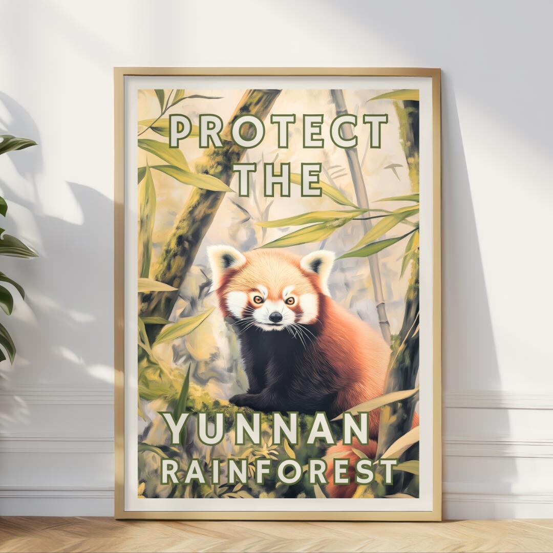 Protect the Yunnan Rainforest Poster, Red Panda Conservation Wall Art ...