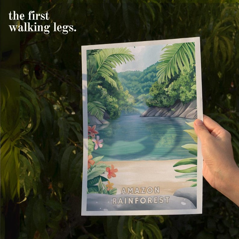 Amazon Rainforest Poster, Tropical Jungle Wall Art, Scenic River Print ...